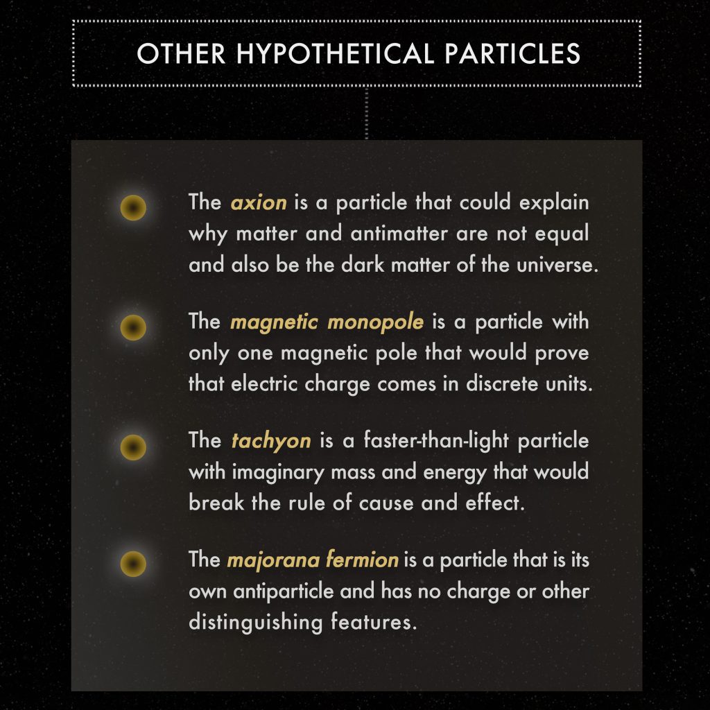 Fundamental Particles to Scale - Pablo Carlos Budassi