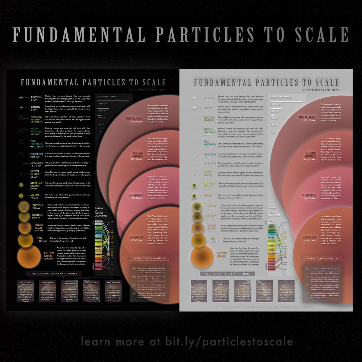 Fundamental Particles to Scale - Pablo Carlos Budassi
