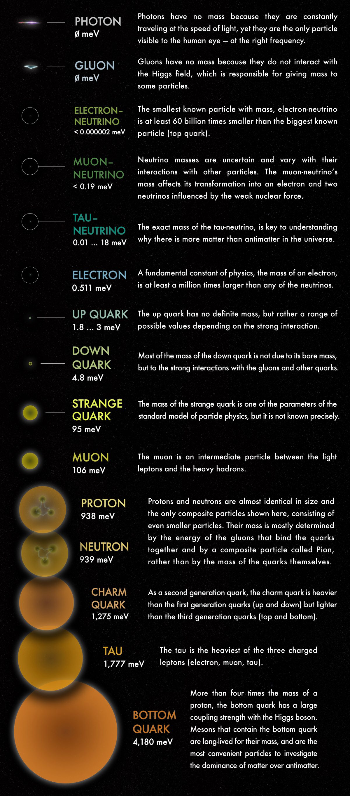 Fundamental Particles to Scale - Pablo Carlos Budassi