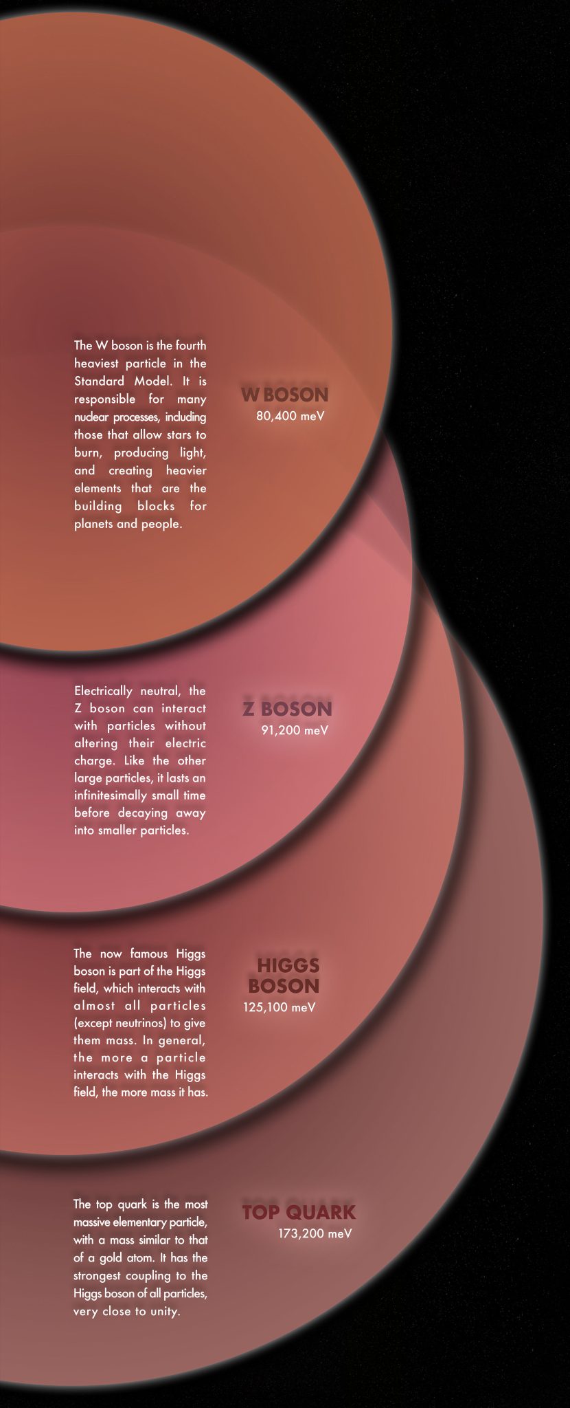 Fundamental Particles to Scale - Pablo Carlos Budassi
