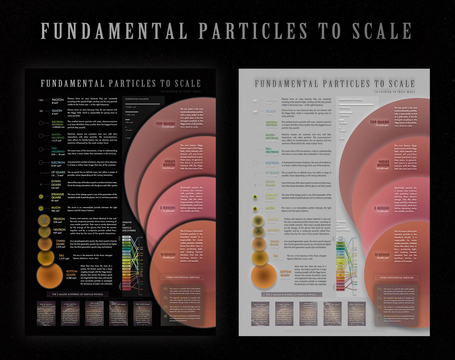 Fundamental Particles to Scale - Pablo Carlos Budassi